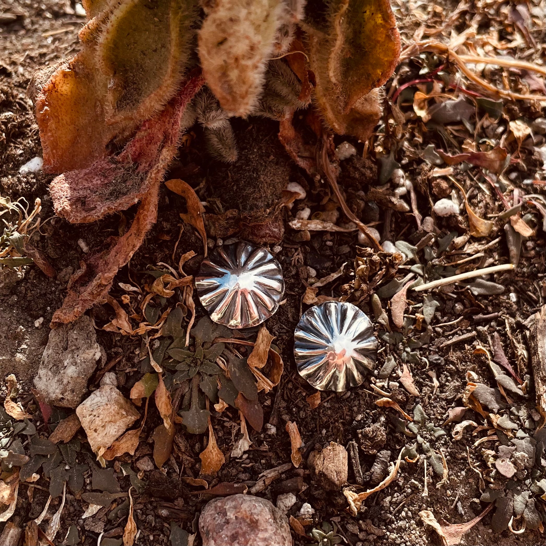 Mini Concho Studs – LK Silver
